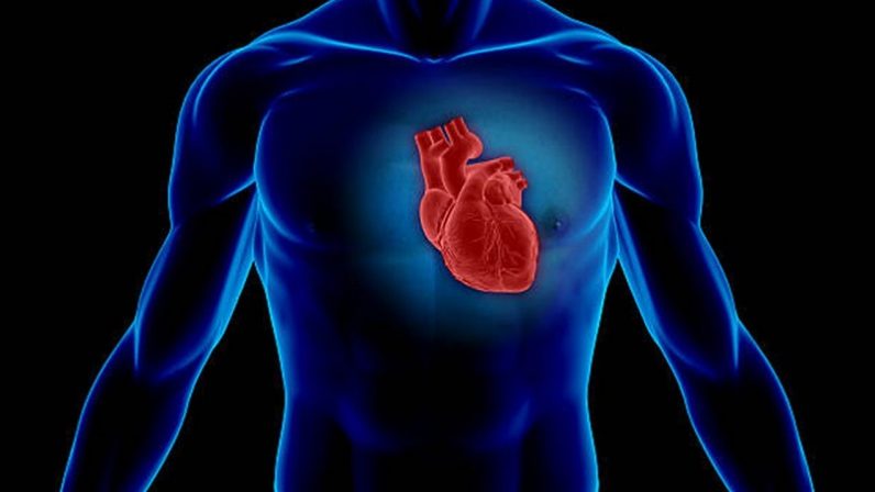 Enlarged heart (cardiomegaly): causes, symptoms, dangers, and treatment ...